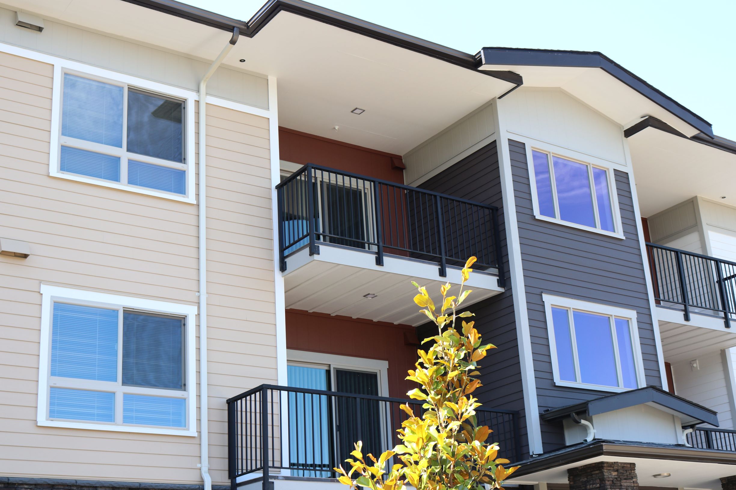 Siding Contractor Tampa | St Petersburg | | Sarasota | Bradenton